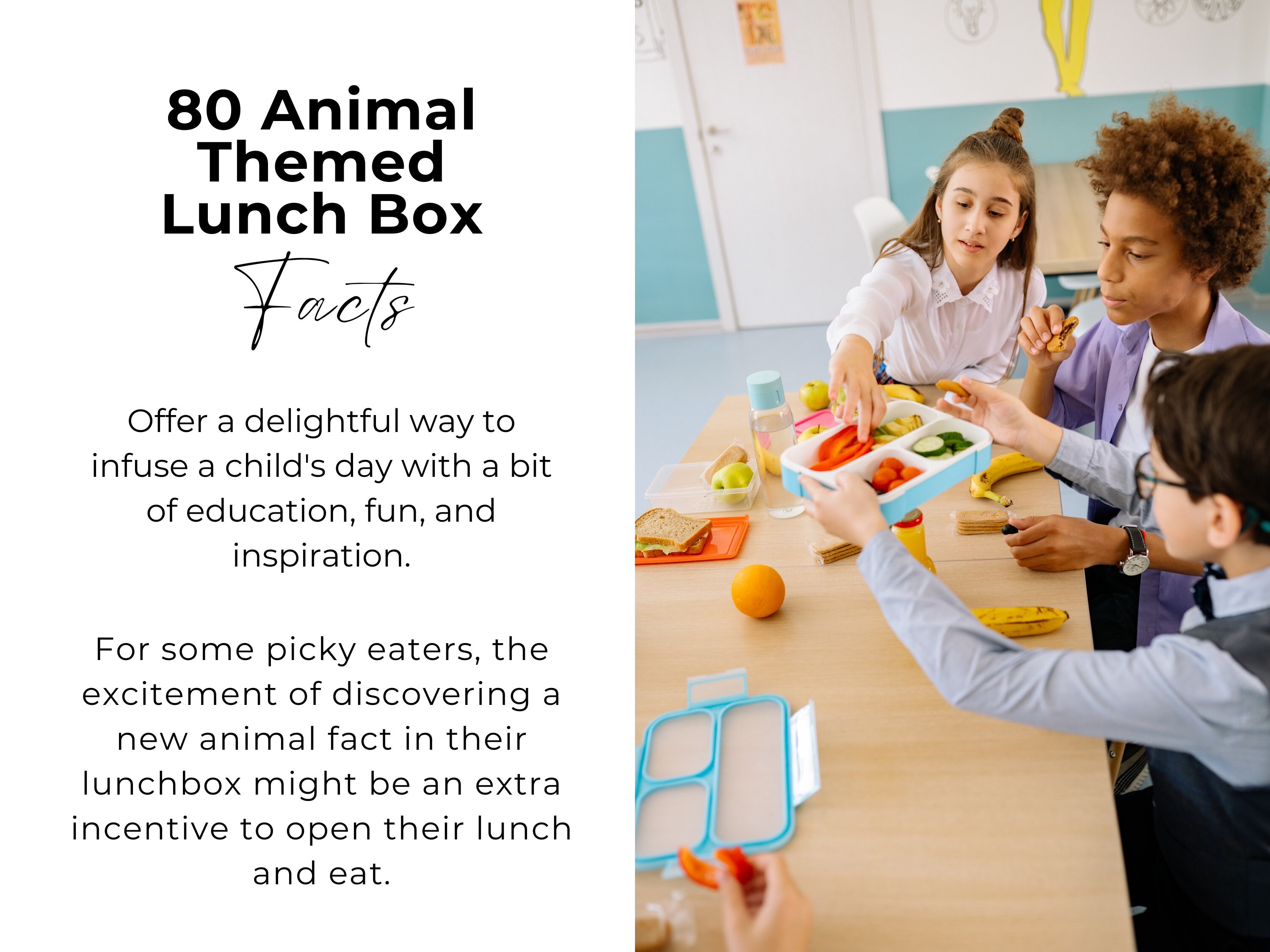 Printable Animal Themed Lunch Box Facts for Kids Fun Facts - Etsy