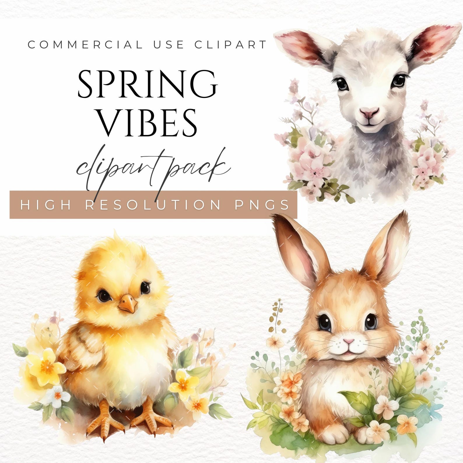 Spring Clipart Spring Graphic Spring Illustration Springtime Easter ...