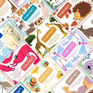 Printable Animal Themed Lunch Box Facts for Kids Fun Facts Trivia Lunch ...