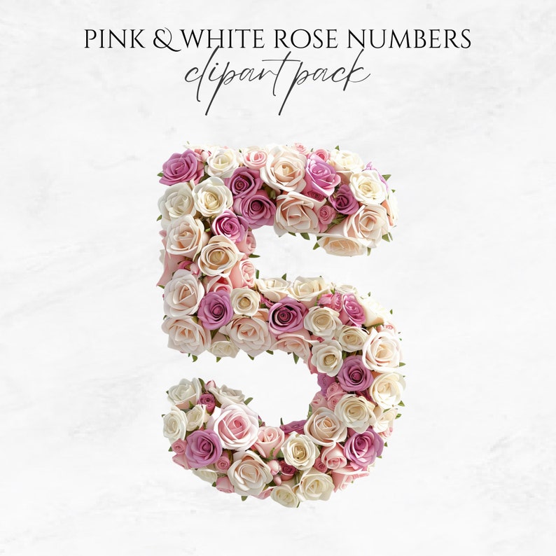 Rose Numbers Clipart Pink Rose Clipart White Rose Clipart Floral ...