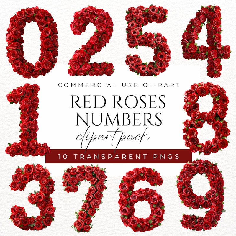Transparent Rose Numbers - Etsy
