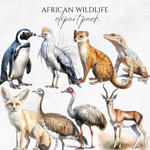 African Animals Clipart Safari Animals Clipart African Savanna Animals ...