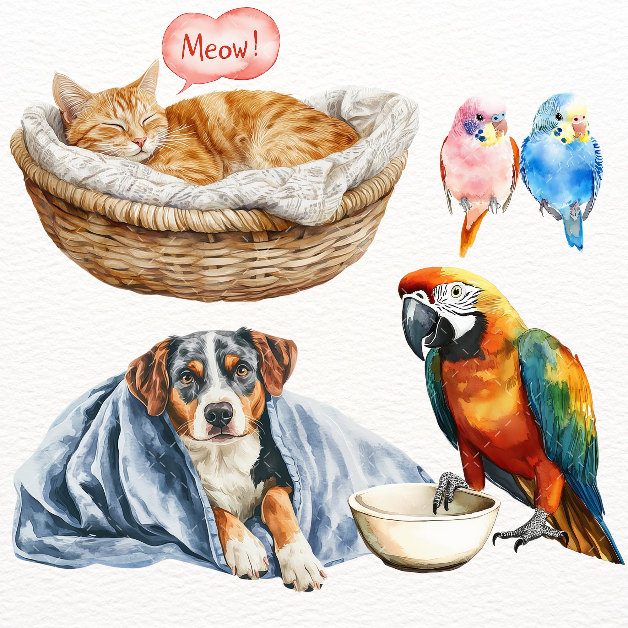 Pet Themed Clipart Dog Clipart Cat Clipart Animal Clipart Puppy Kitten ...