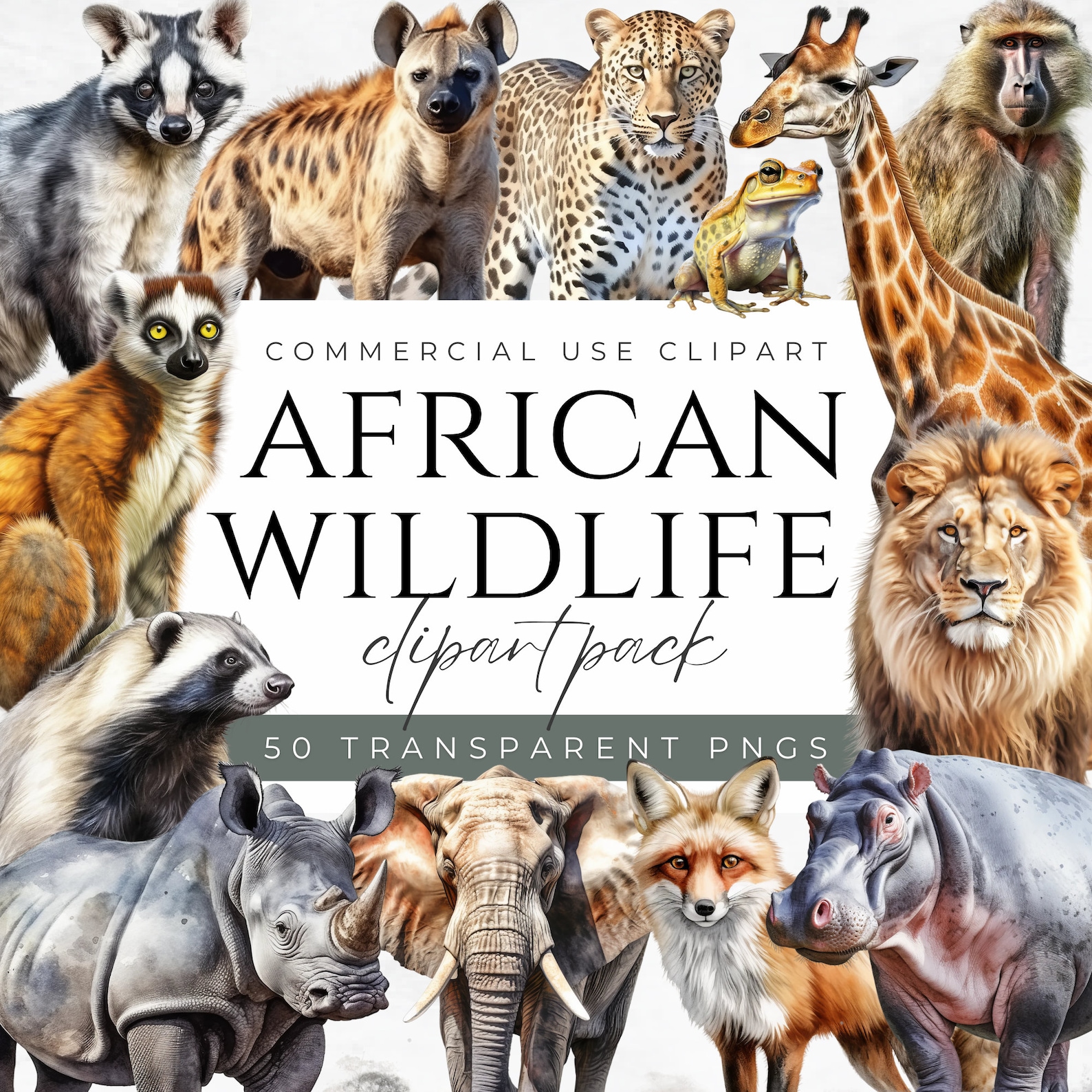 African Animals Clipart Safari Animals Clipart African Savanna Animals ...