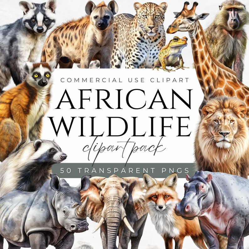 African Animals Clipart Safari Animals Clipart African Savanna Animals ...