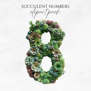 Succulent Plant Numbers Clipart Succulent Clipart Plant Numbers Floral ...