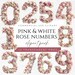 Rose Numbers Clipart Pink Rose Clipart White Rose Clipart Floral ...