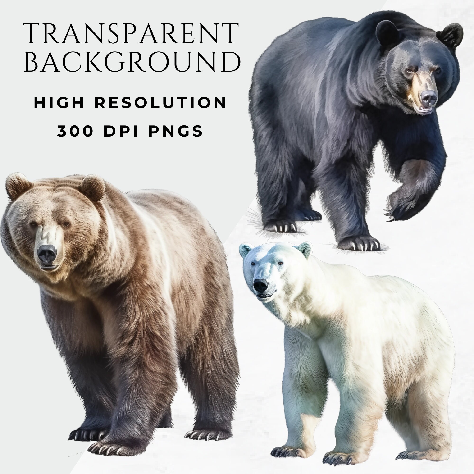 American Wildlife Animals Clipart USA Animals Clipart Wild Animals ...