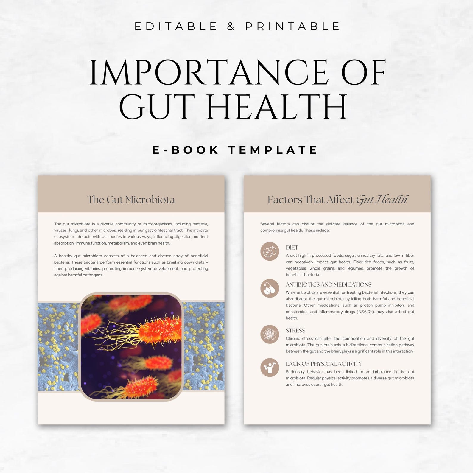 Understanding the Importance of Gut Health and How to Improve It Ebook ...