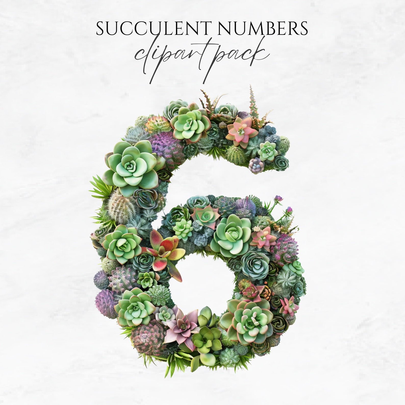 Succulent Plant Numbers Clipart Succulent Clipart Plant Numbers Floral ...