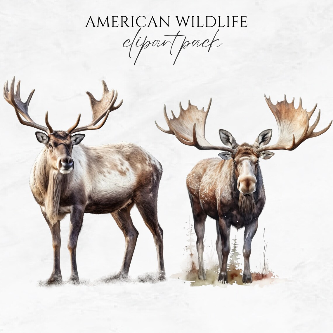 American Wildlife Animals Clipart USA Animals Clipart Wild Animals ...