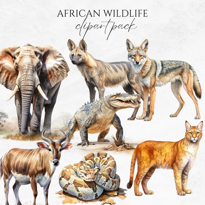 African Animals Clipart Safari Animals Clipart African Savanna Animals ...