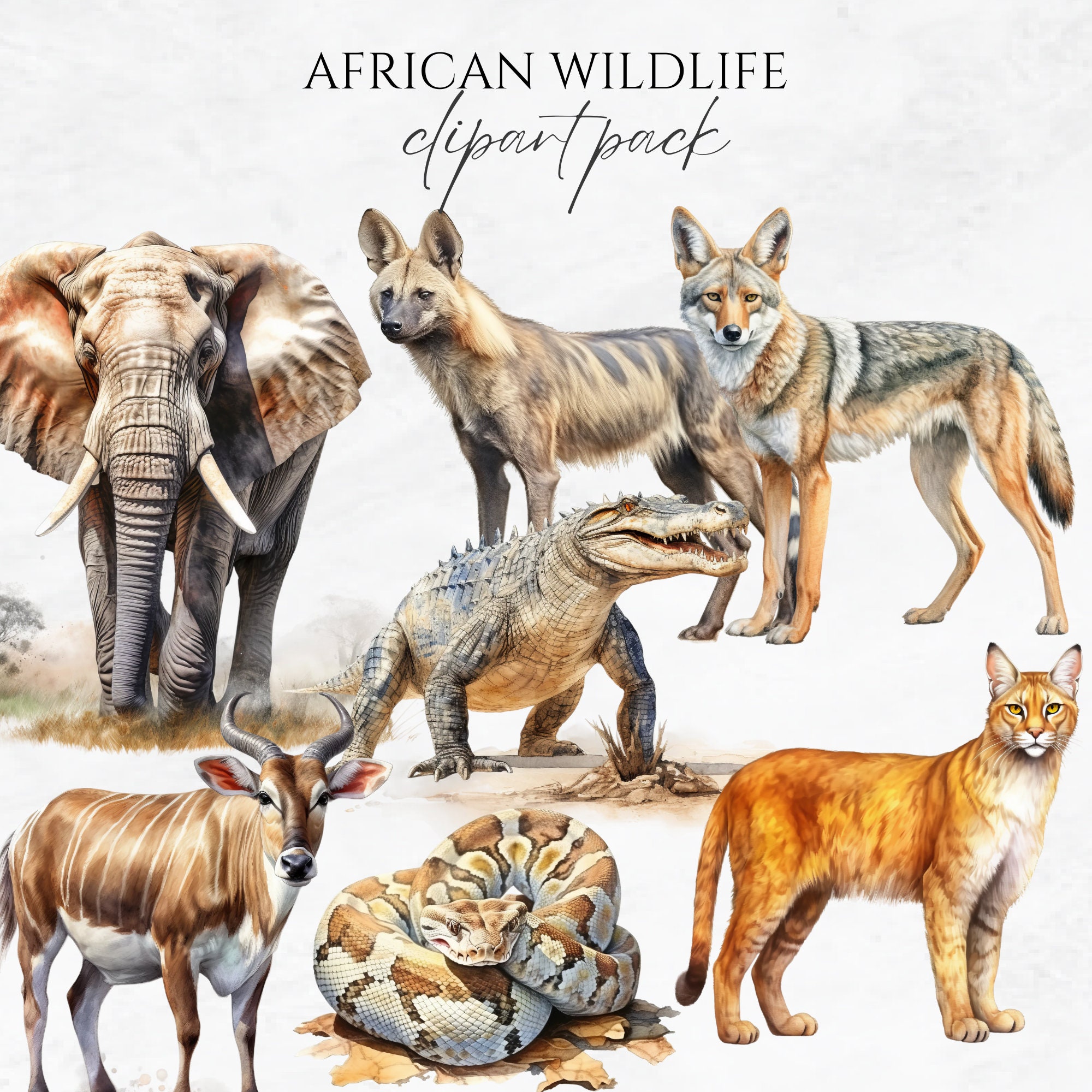 African Animals Clipart Safari Animals Clipart African Savanna Animals ...