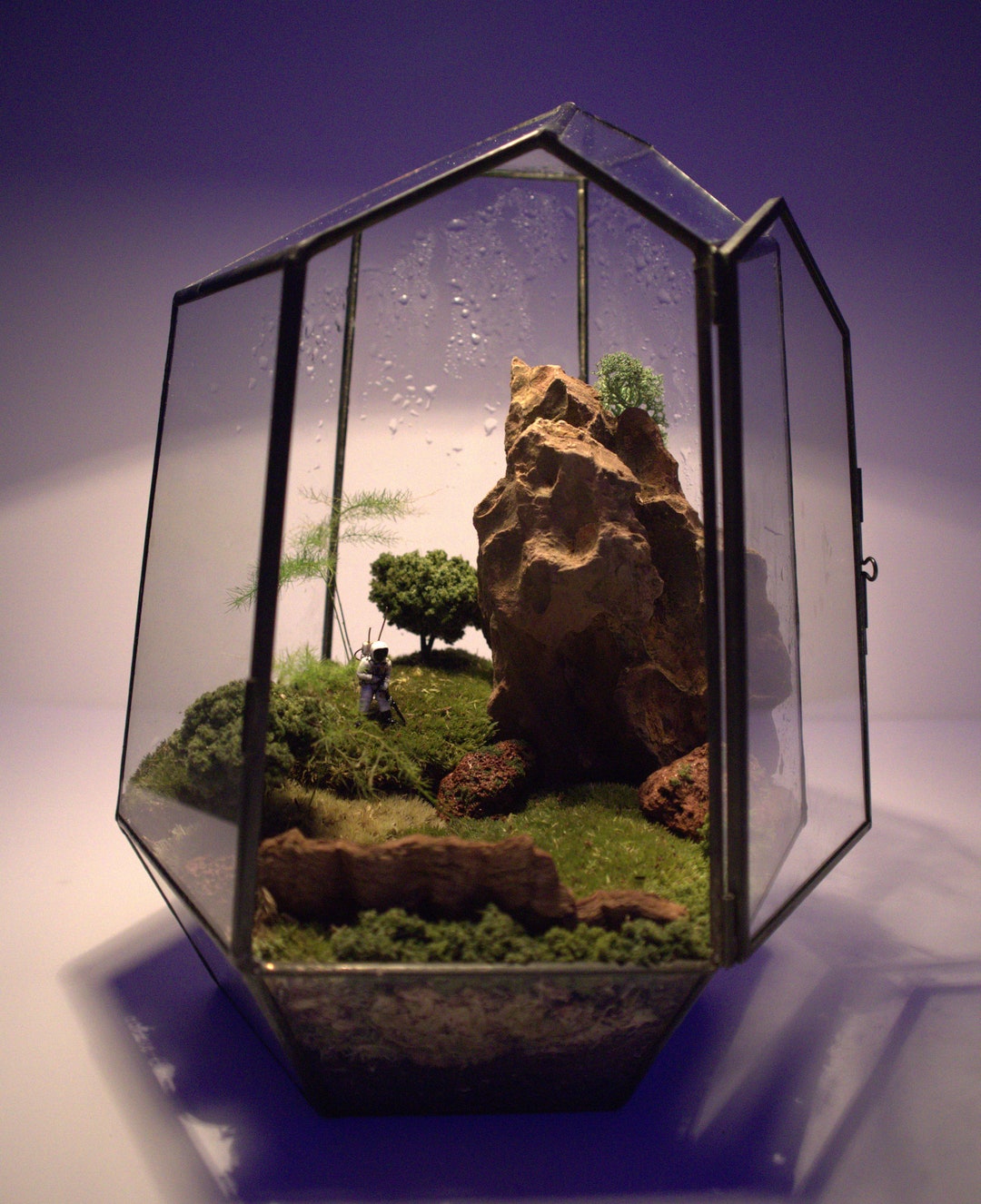 Celestial Dragon Rock Terrarium Mini Geometric Ecosystem - Etsy UK