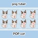 Pngtuber - POP Cat | Chibi | Cute | Kawaii | Twitch | Youtube | Vtuber ...