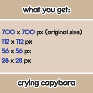 Animated Emote - Crying Capybara | Cute | Kawaii | Chibi | Twitch ...