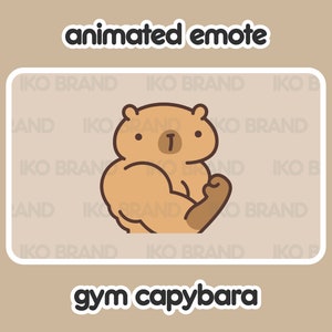 Animated Emote - Gym Capybara | Cute | Kawaii | Chibi | Twitch, Youtube ...