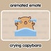 Animated Emote - Crying Capybara | Cute | Kawaii | Chibi | Twitch ...