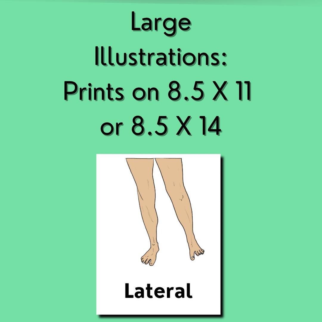 Water Walking Fitness Illustrations for Instructors, Gait Cue Cards for ...