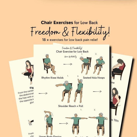 Lower Back Chair Stretches