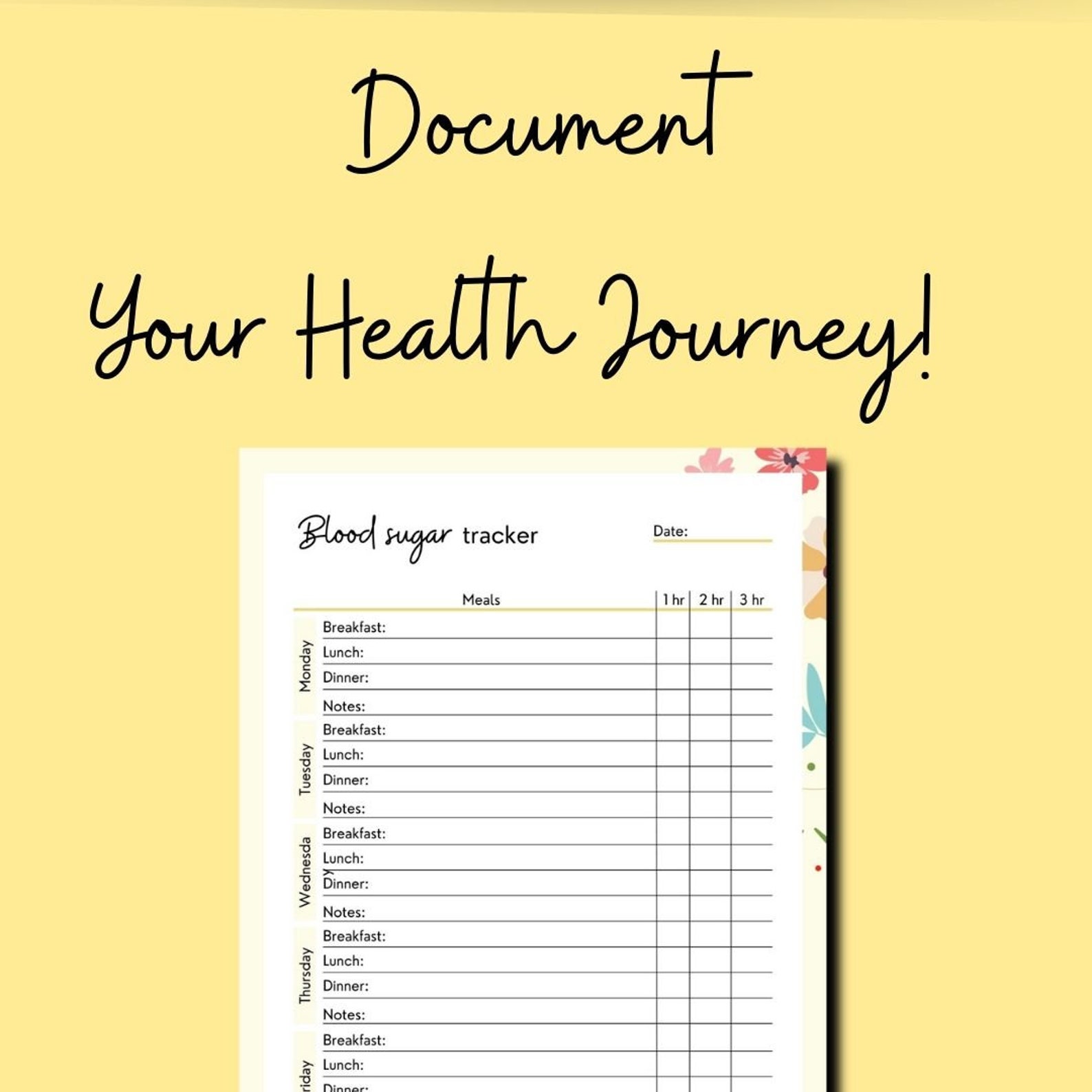 Pre-diabetes Exercise Plan and Medical Binder, Chronic Conditions ...