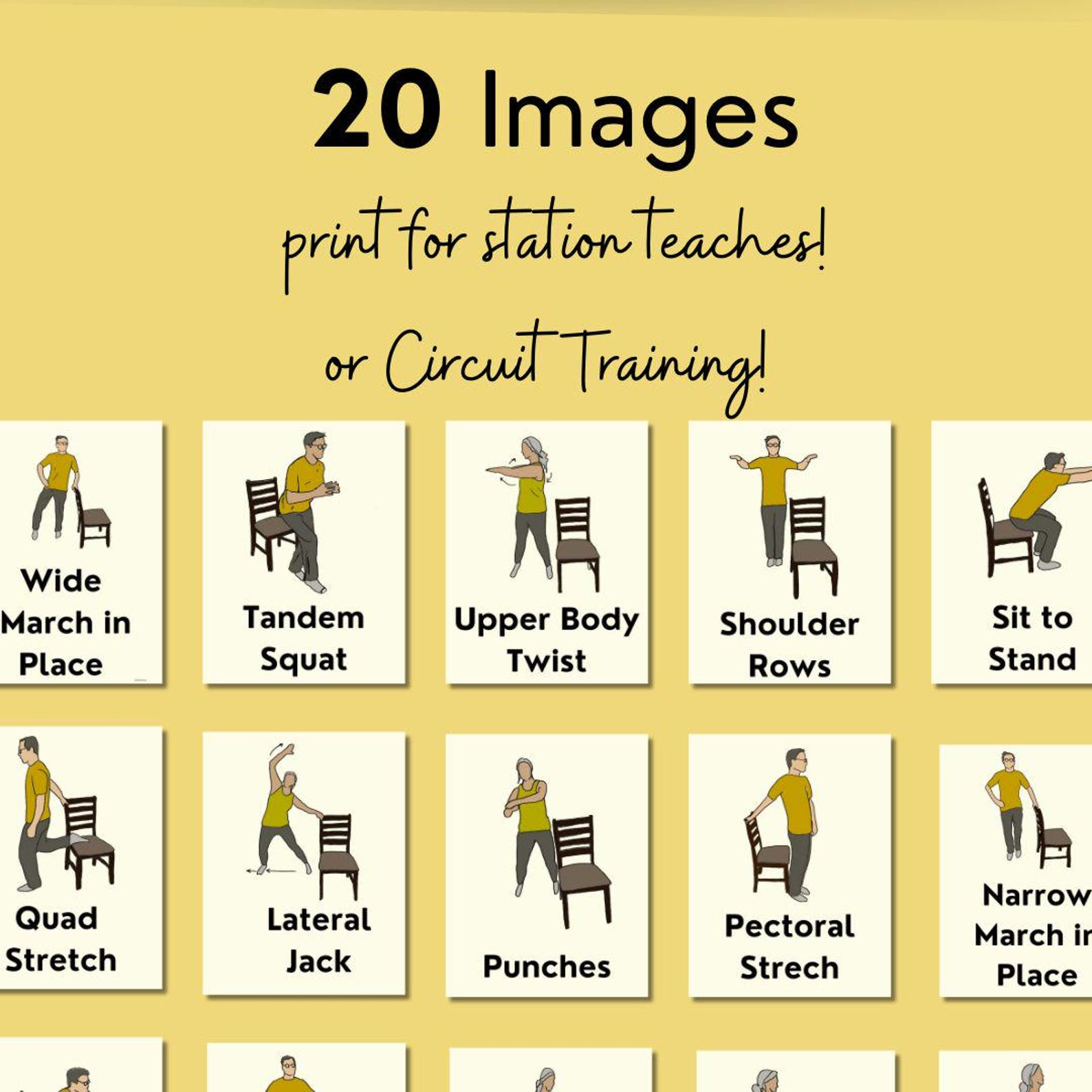 Chair Exercise Visuals for Senior, Exercise Cue Cards for Fitness ...