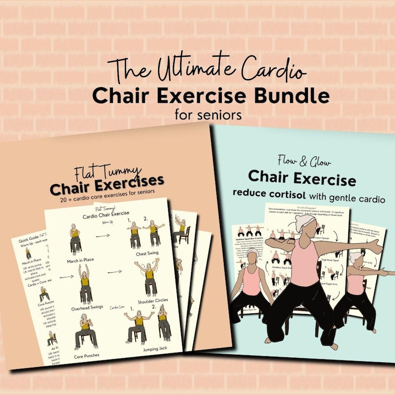 Chair Exercise Program for Seniors, Chair Cardio Exercise for Belly Fat ...