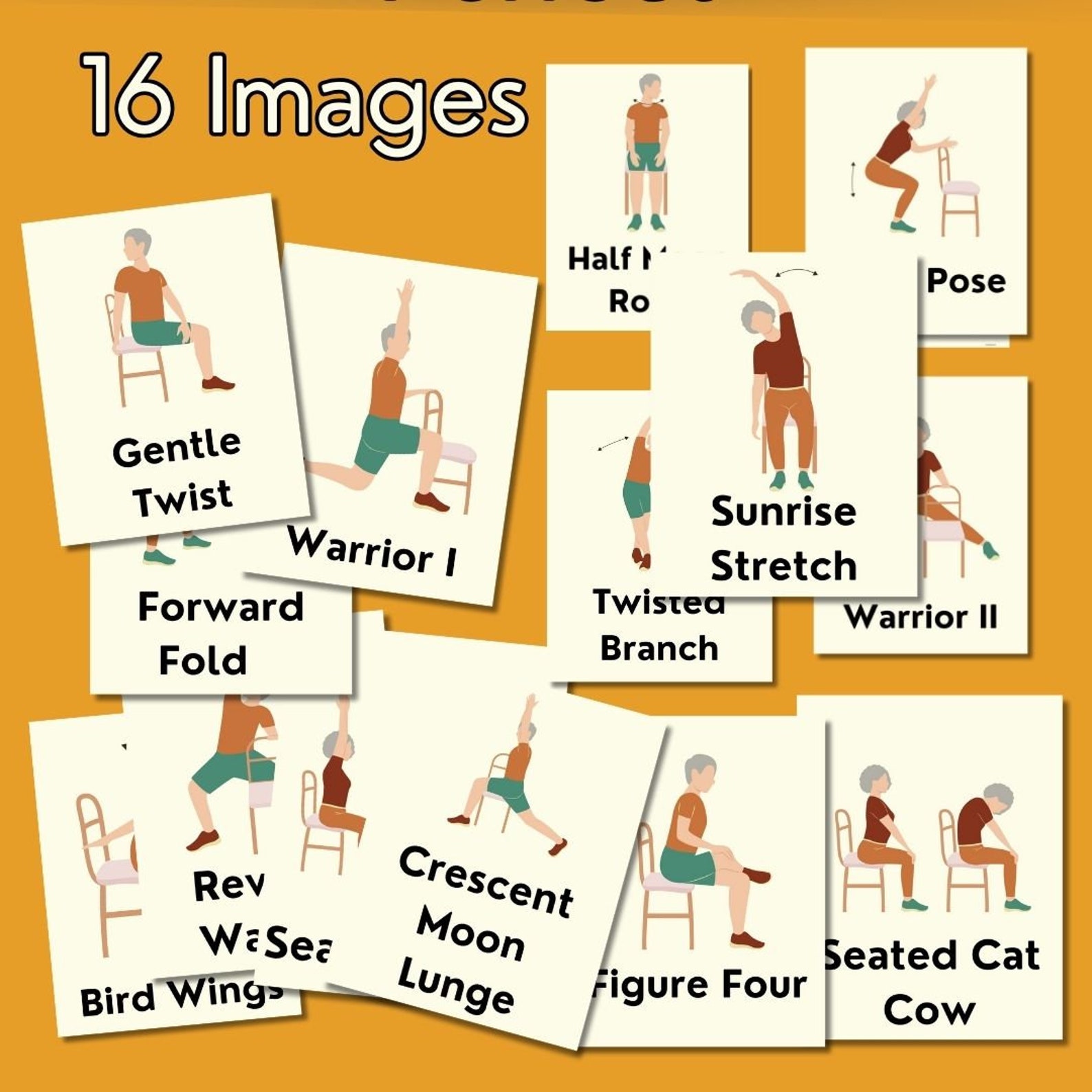 Chair Yoga Illustrations for Instructors, Chair Exercise for Seniors ...