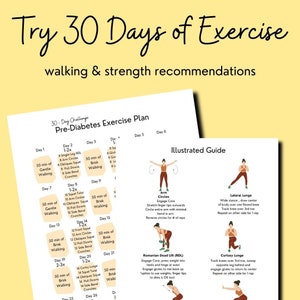 Pre-diabetes Exercise Plan and Medical Binder, Chronic Conditions ...