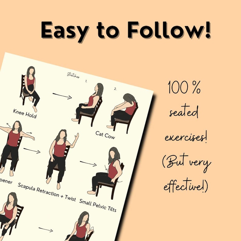 Chair Exercise for Lower Back Pain, Chair Yoga for Seniors, Seated Back ...