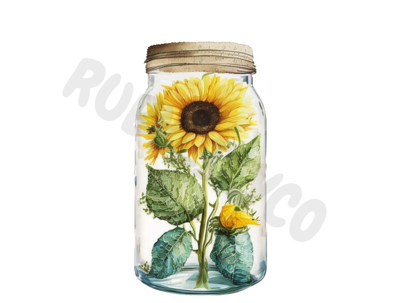 Sunflower Mason Jar - Sunflower Clip Art - Watercolor Sunflowers in ...