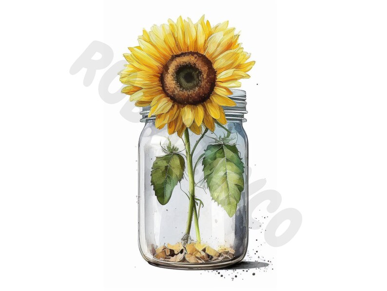 Sunflower Mason Jar - Sunflower Clip Art - Watercolor Sunflowers in ...
