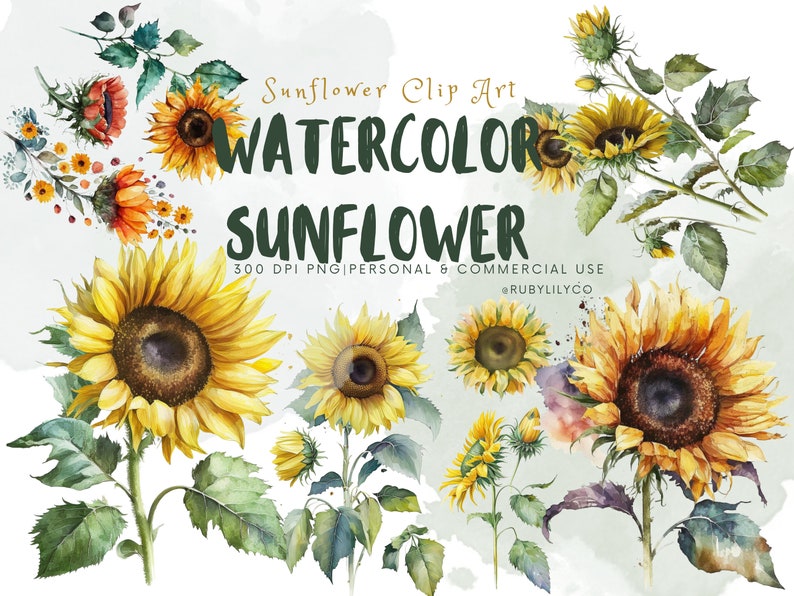 Watercolor Sunflower Sunflower Clip Art Watercolor - Etsy