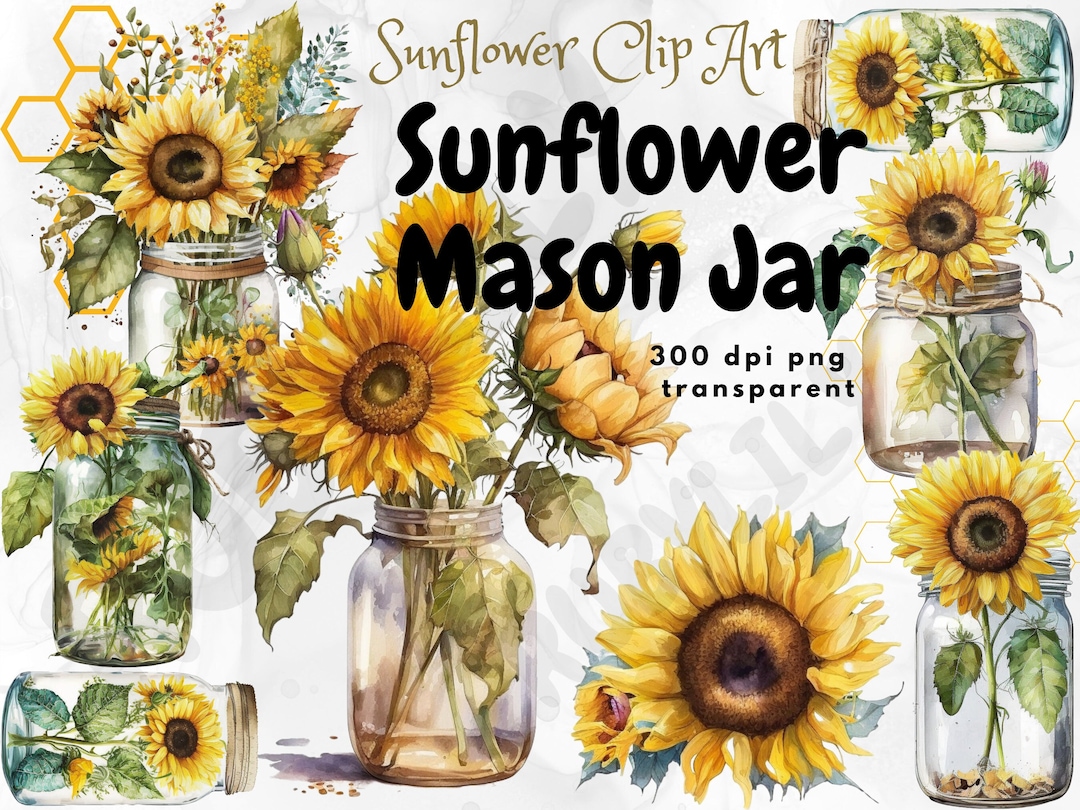 Sunflower Mason Jar - Sunflower Clip Art - Watercolor Sunflowers in ...