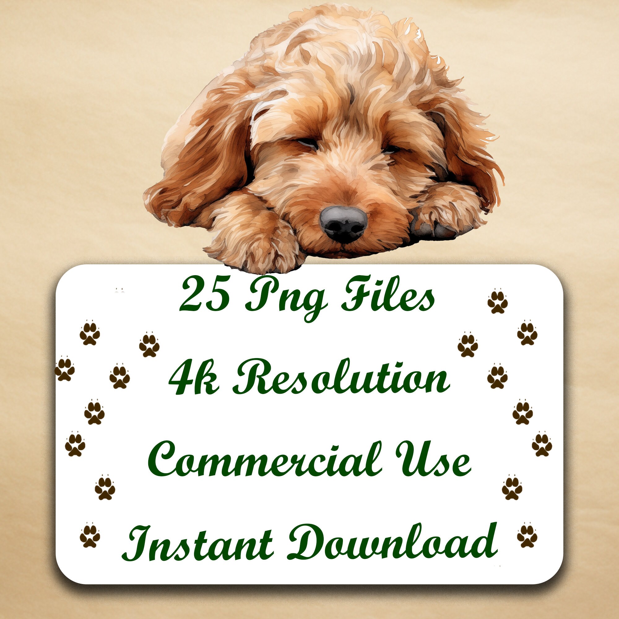 Labradoodle Love: Adorable PNG Image of a Labradoodle, High-quality ...