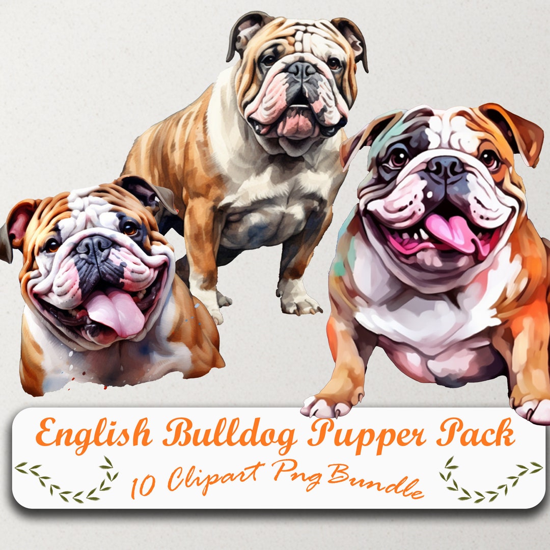 Vibrant Bulldog Clipart: 10 Pngs, Transparent, Instant Use & Download ...