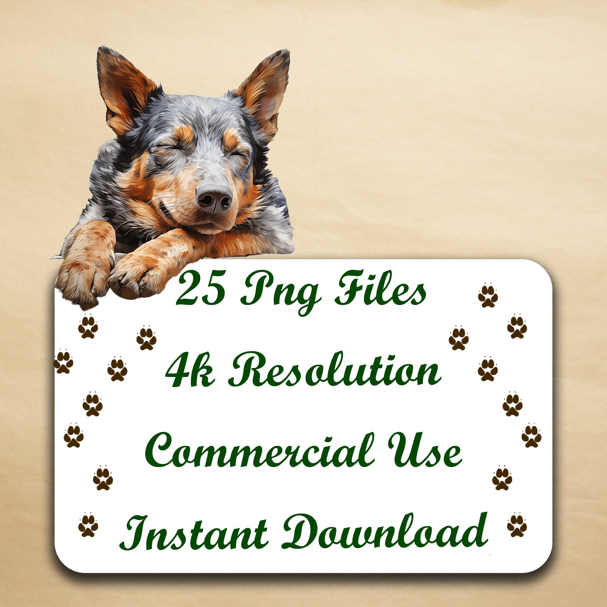 Australian Cattle Dog PNG, Blue Heeler PNG, 25 Watercolor Dog Clipart ...