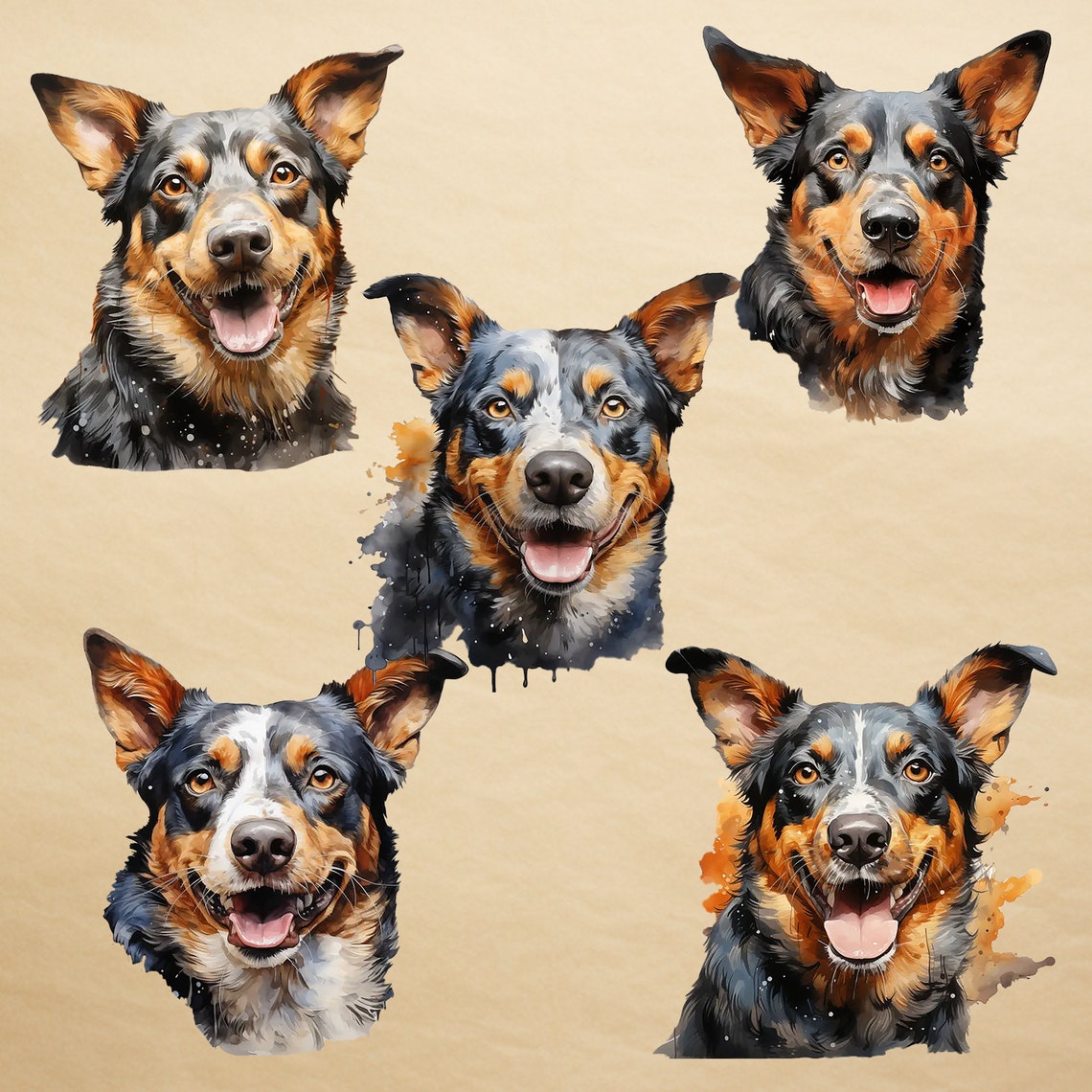Australian Cattle Dog PNG, Blue Heeler PNG, 25 Watercolor Dog Clipart ...