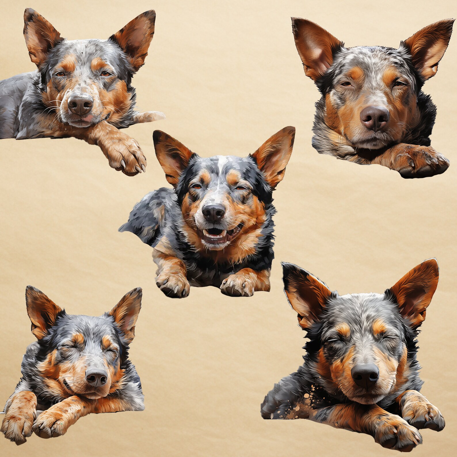 Australian Cattle Dog PNG, Blue Heeler PNG, 25 Watercolor Dog Clipart ...