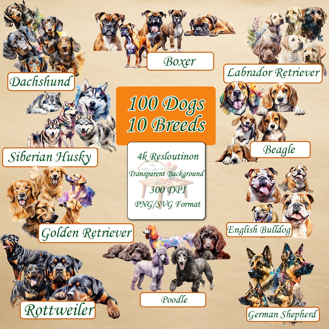 Mega Bundle: 100 Dogs 10 Breeds SVG & Watercolor Dog Clipart Collection ...