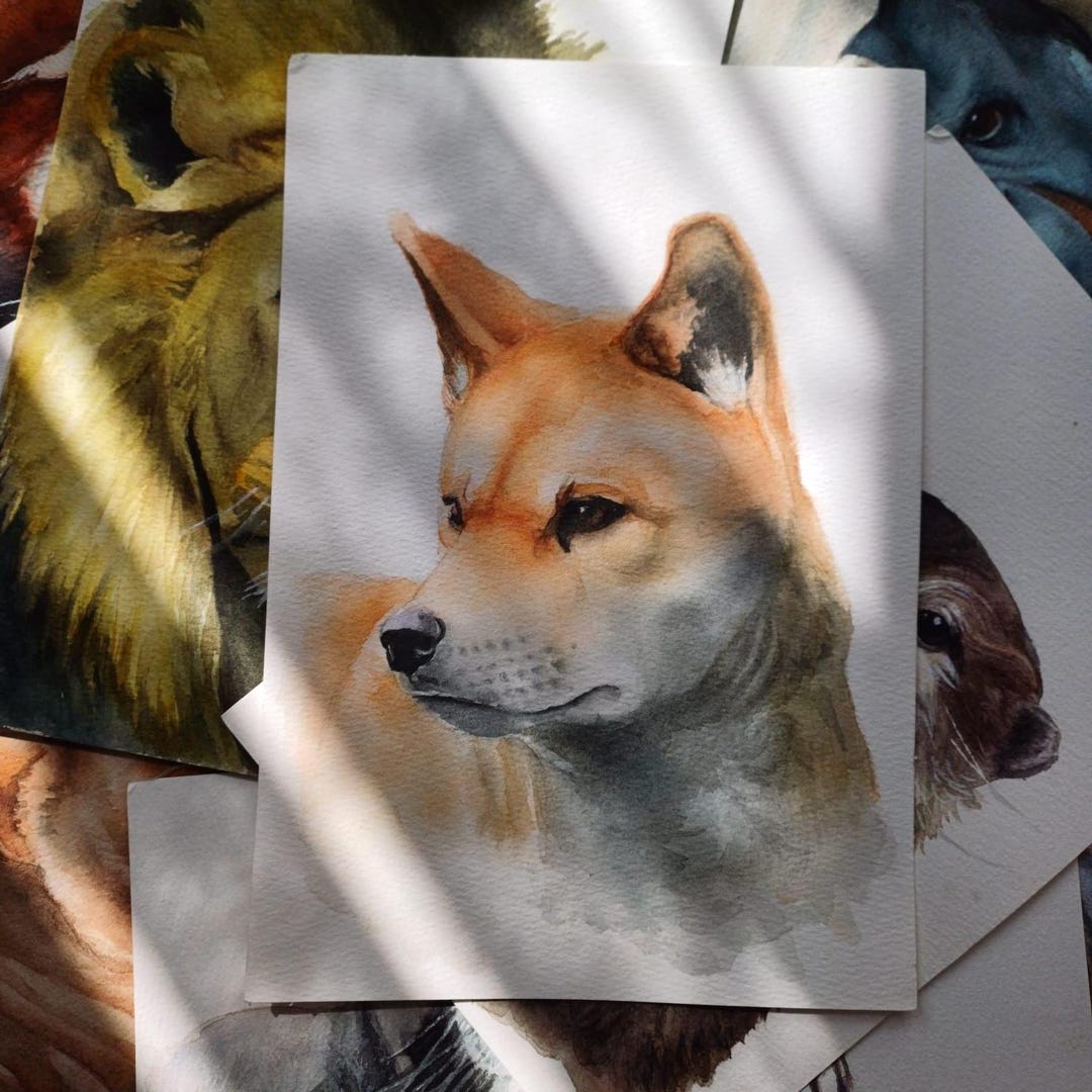 Original Dingo Watercolour Portrait Painting + Print - Etsy