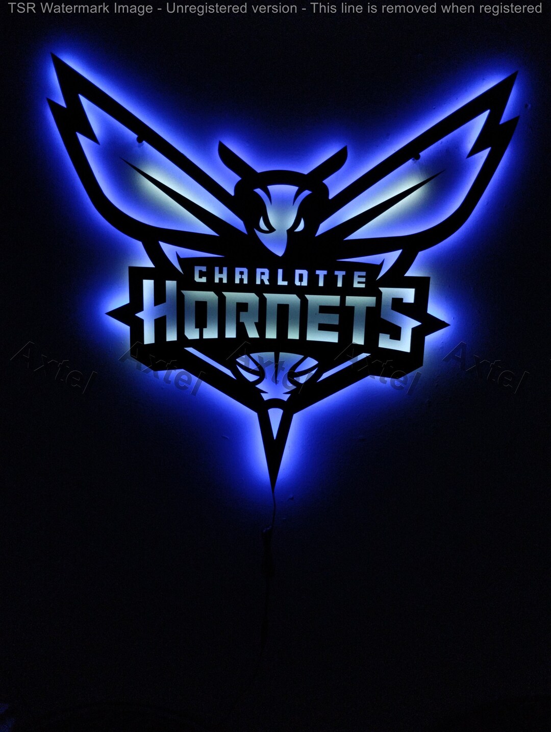 Charlotte Hornets, Basketball Team Sign, Metal Sign, Led Sign, Light ...
