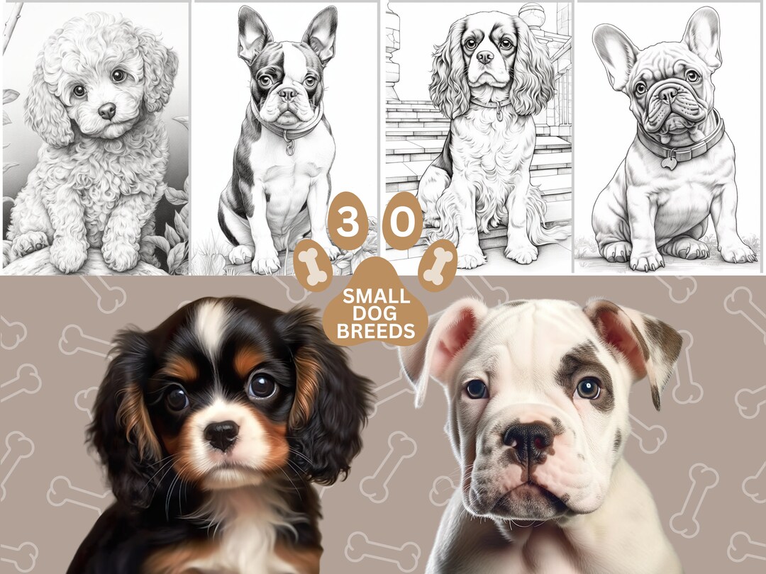 30 Small Dog Breeds Coloring Page Book, for Adults and Kids Grayscale ...