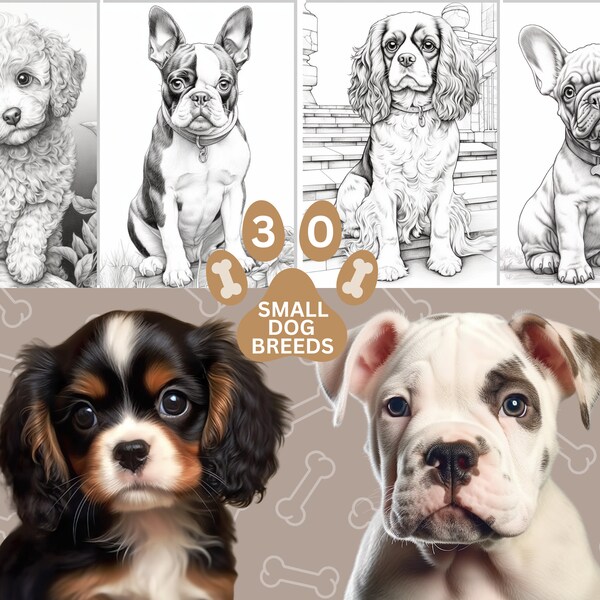 Dog Breed Coloring Page - Etsy