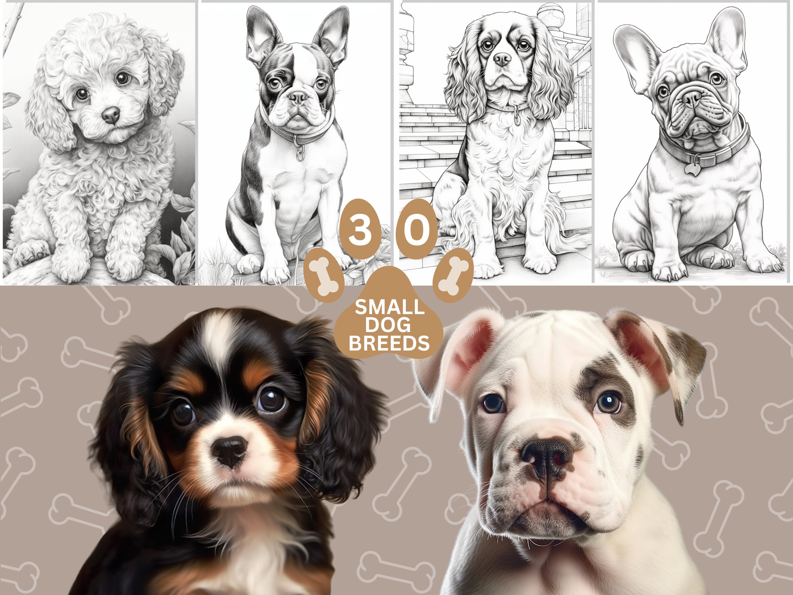 30 Small Dog Breeds Coloring Page Book, for Adults and Kids Grayscale ...