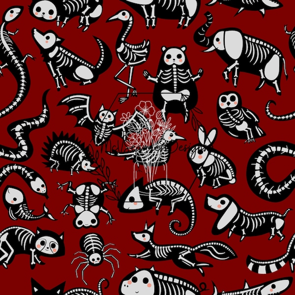 Animal Skeletons - Etsy