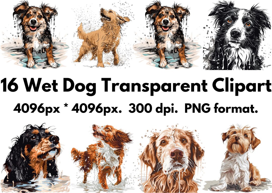 16 Wet Dog Transparent Clipart Images - PNG Format - Etsy