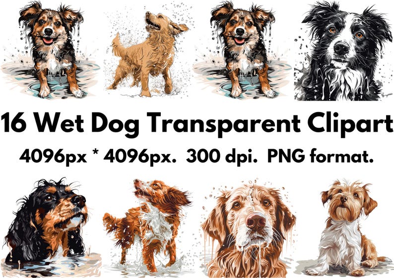 16 Wet Dog Transparent Clipart Images - PNG Format - Etsy