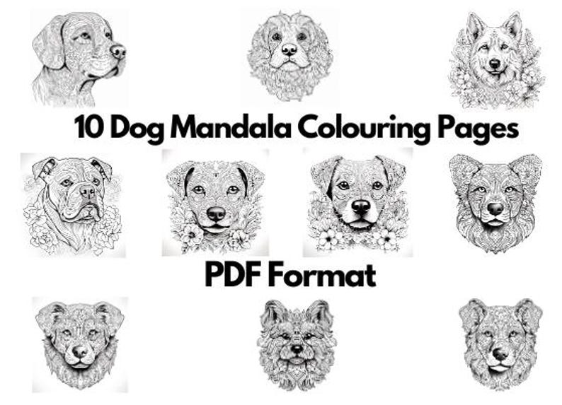 10 Dog Mandala Colouring Pages - PDF Format - Etsy