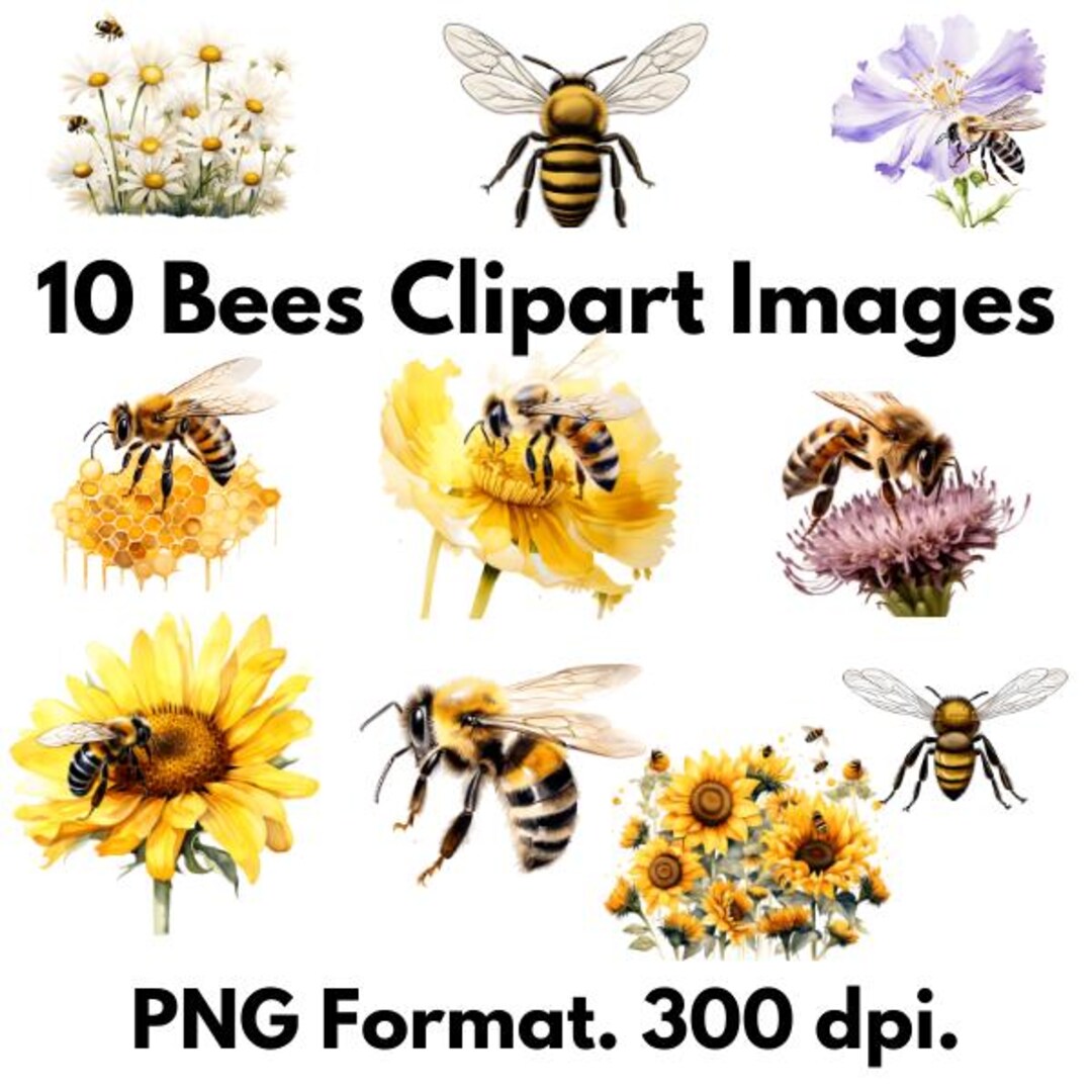 10 Bees Clipart Images - PNG Format - Etsy